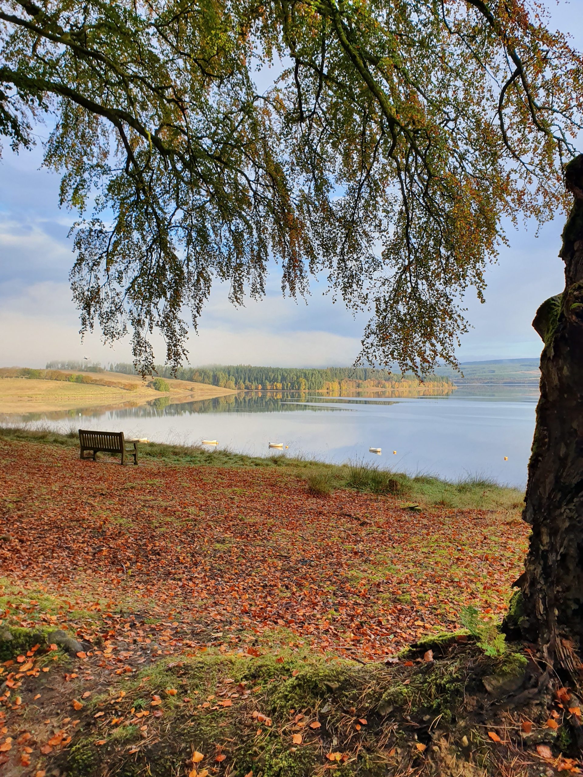 What's On - Kielder WatersideKielder Waterside