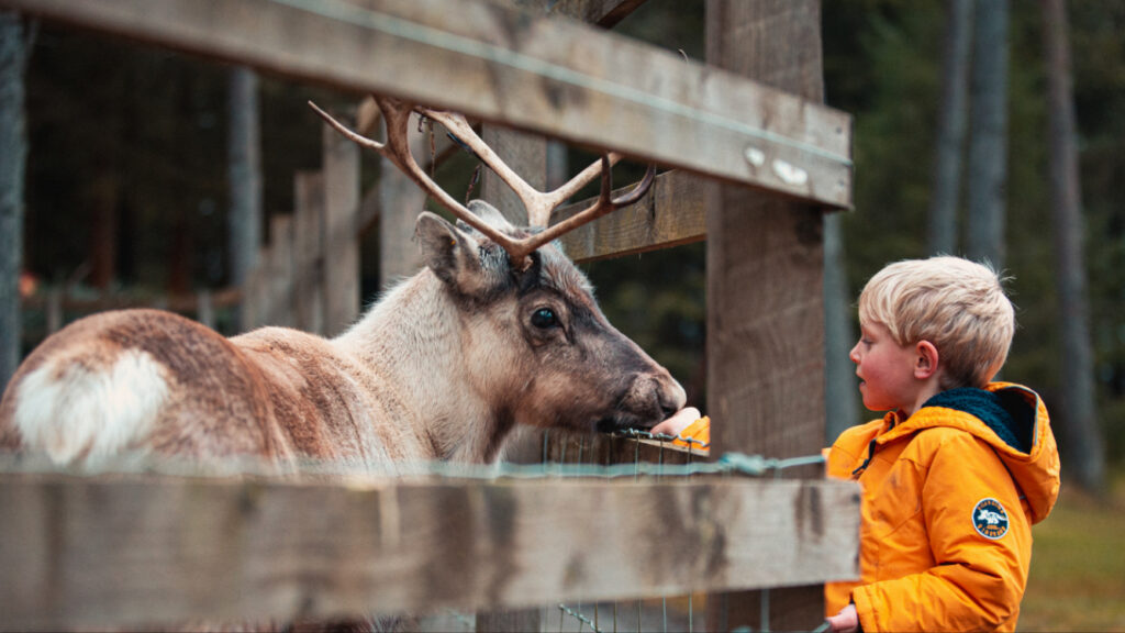 Kielder Winter Wonderland - Kielder WatersideKielder Waterside